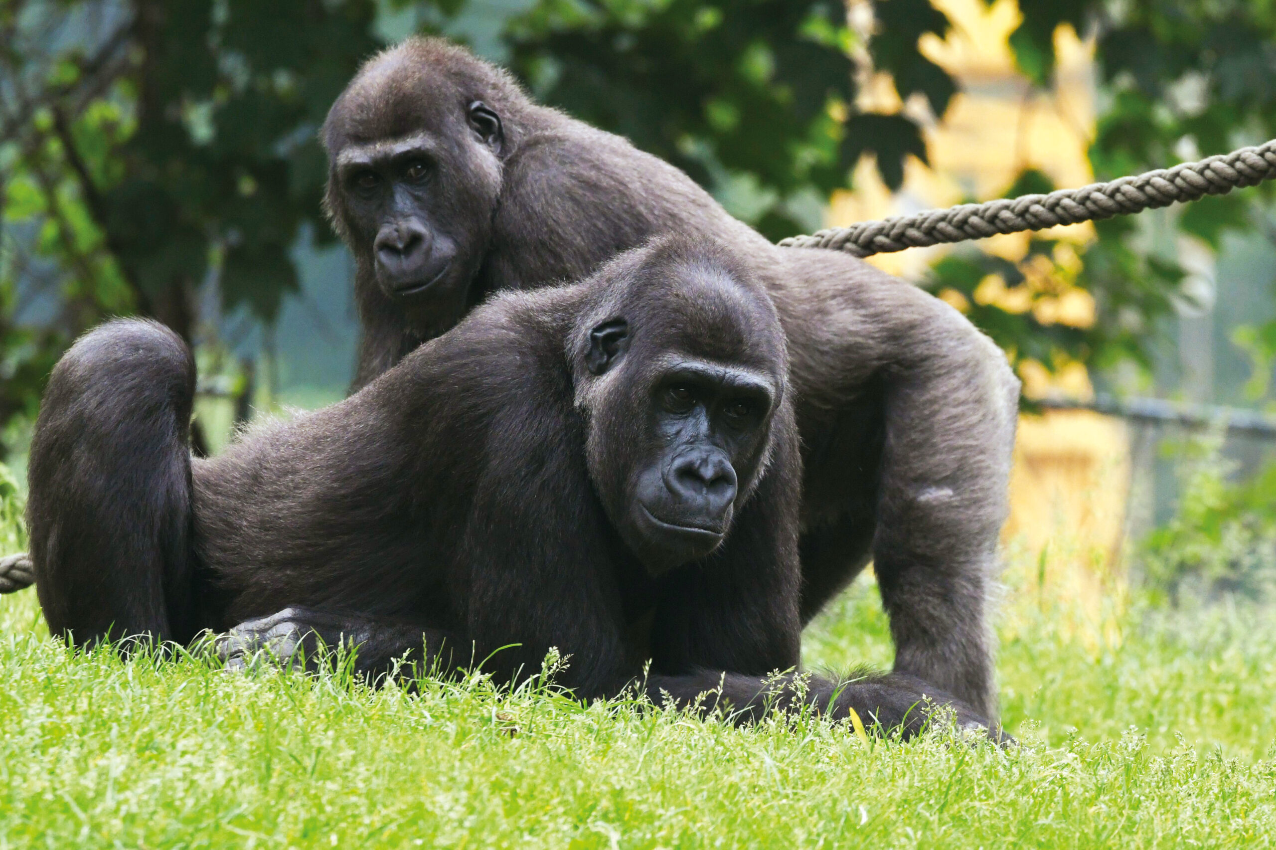 Hannover | Erlebnis Zoo
